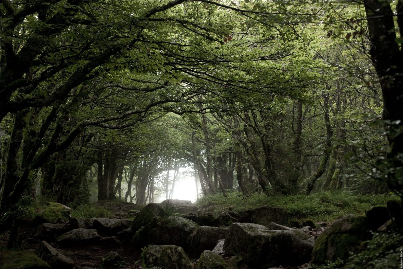 Comment faire face à la déception : 12 étapes utiles